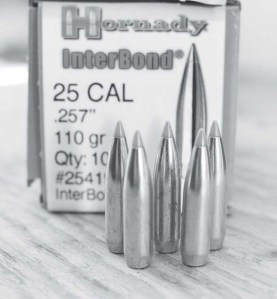 From Hollow-Points to Spitzers: A Quick Guide to Bullet Types | The ...